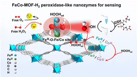 Tailoring metal sites of FeCo-MOF nanozymes for significantly enhanced ...