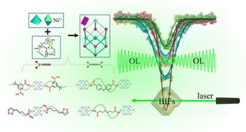 Ligand evolution on trigonal bipyramidal boron imidazolate cages for ...