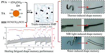 A thermo-, near-infrared light- and water-induced shape memory polymer ...