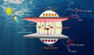 Enhancing internal electric field by Zn2+ doping for promoting bulk ...