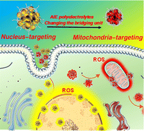 Backbone flexibility/amphiphilicity modulation of AIE active ...