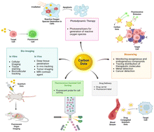 Carbon-based designer and programmable fluorescent quantum dots for ...