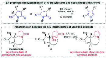 Lawesson's reagent-promoted deoxygenation of γ-hydroxylactams or ...