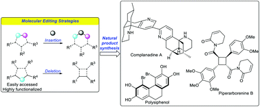 Molecular editing in natural product synthesis - Organic Chemistry ...