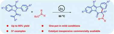Copper-catalyzed amino radical tandem cyclization toward the synthesis ...