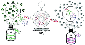 Supramolecular catalysis in confined space: making the pyrogallol[4 ...