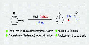 Electrophilic amidomethylation of arenes with DMSO/MeCN reagents ...