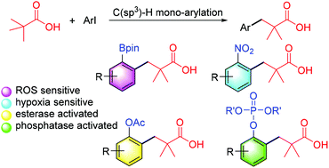 Convenient and flexible syntheses of gem-dimethyl carboxylic triggers ...
