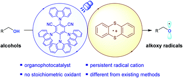 Photoredox/persistent radical cation dual catalysis for alkoxy radical ...