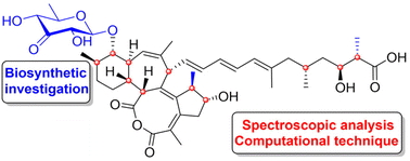 Assigning the stereochemical structures of aurantinin A and B with the ...