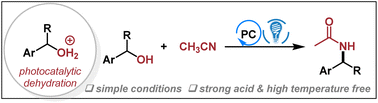 Photocatalytic dehydrations for the Ritter reaction - Organic Chemistry ...