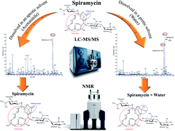 Challenges for the determination of spiramycin in aqueous matrices ...