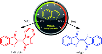 A tunable synthesis of indigoids: targeting indirubin through ...