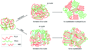 Crystallization, thermal and mechanical properties of stereocomplexed poly(lactide) with ...
