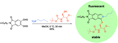 Three-component assembly of stabilized fluorescent isoindoles - RSC ...