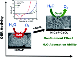NiCoP–CeO2 composites for efficient electrochemical oxygen evolution ...