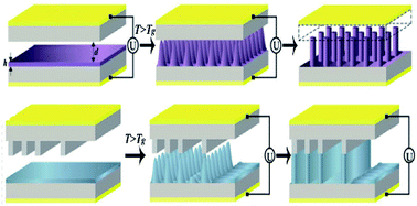 Pattern formation in thin polymeric films via electrohydrodynamic ...