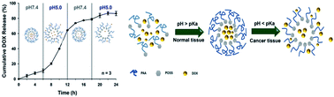 Targeted drug release system based on pH-responsive PAA-POSS ...