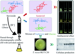 Induction of cellulase production in Trichoderma reesei by a glucose–sophorose mixture as an ...