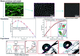 Preparation of a bionic lotus leaf microstructured surface and its drag ...