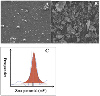 Curcumin-PLGA based nanocapsule for the fluorescence spectroscopic ...