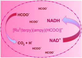 Electronic effects on the mechanism of the NAD+ coenzyme reduction ...