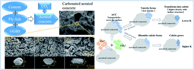 Morphological characteristics of calcium carbonate crystallization in ...