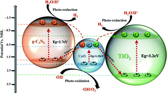Enhanced photocatalytic hydrogen evolution and ammonia sensitivity of ...