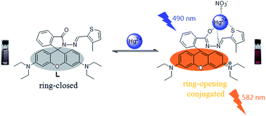 A turn-on fluorescent probe with high selectivity for Hg2+ and its ...