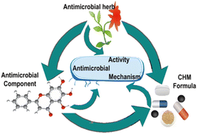 Antimicrobial activities and mechanisms of extract and components of ...