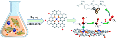Boosting the singlet oxygen production from H2O2 activation with highly ...
