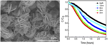 Screen-printed p–n BiOCl/BiFeO3 heterojunctions for efficient ...