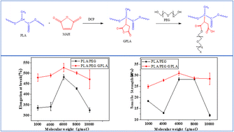 Ethylene Glycol And Maleic Anhydride