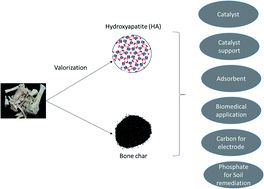 Value-added materials recovered from waste bone biomass: technologies ...
