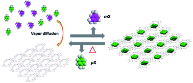 Adsorptive separation of para-xylene by nonporous adaptive crystals of ...