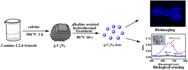 g-C3N5-dots as fluorescence probes prepared by an alkali-assisted ...