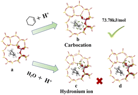 HZSM-5 zeolite modification and catalytic reaction mechanism in the ...