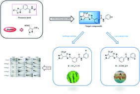 Synthesis, biological activity and toxicity to zebrafish of benzamides ...
