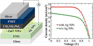 Impact of localized surface plasmon resonance on efficiency of zinc ...