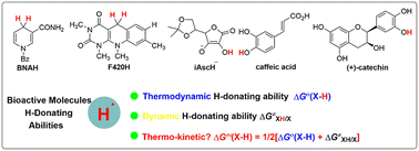 Evaluation and comparison of antioxidant abilities of five bioactive ...