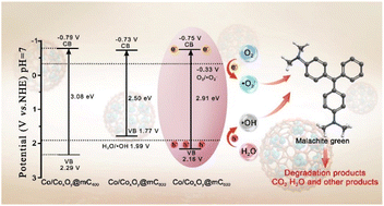 Multiple cobalt active sites evenly embedded in mesoporous carbon ...