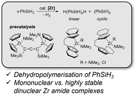 Mono- and dinuclear zirconocene(iv) amide complexes for the catalytic ...