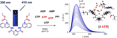 Efficient fluorescent recognition of ATP/GTP by a water-soluble ...