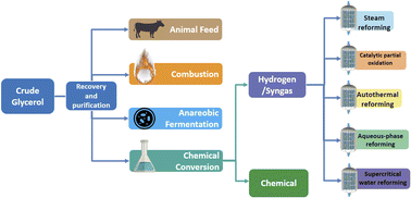 Recovery and utilization of crude glycerol, a biodiesel byproduct - RSC ...