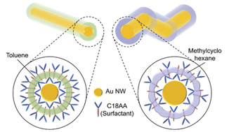 Water-phase synthesis of Au and Au–Ag nanowires and their SERS activity ...