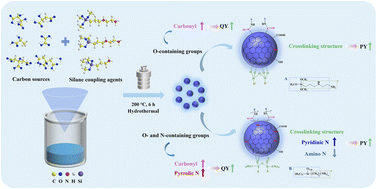 Surface state modulation of blue-emitting carbon dots with high quantum ...