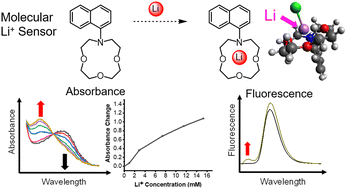 Lithium sensors based on photophysical changes of 1-aza-12-crown-4 naphthalene derivatives ...