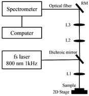 Spectral filtering method for improvement of detection accuracy of Mg ...