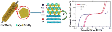 MoO2 nanosheets anchored with Co nanoparticles as a bifunctional ...