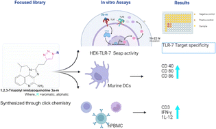 Synthesis and immunopharmacological evaluation of novel TLR7 agonistic triazole tethered ...